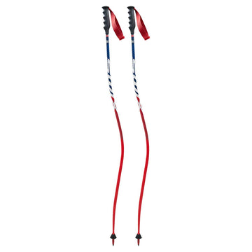 Alpine Ski Racing Poles – Race Place