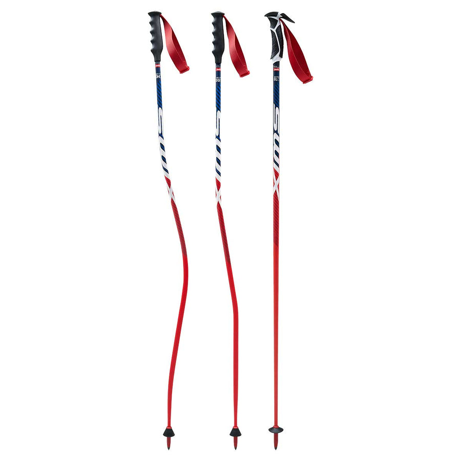 Alpine Ski Racing Poles – Race Place